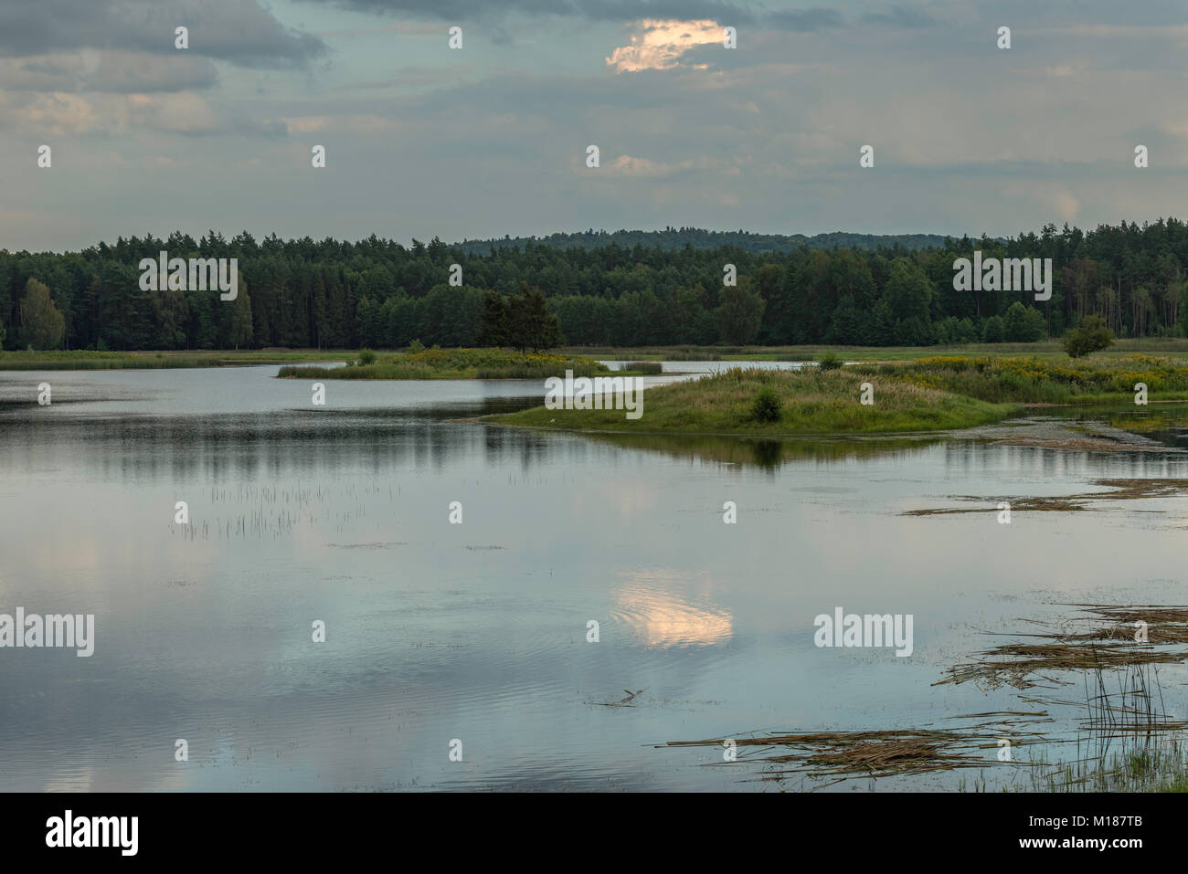 Stawy Echo , Roztocze National Park , Poland Stock Photo - Alamy