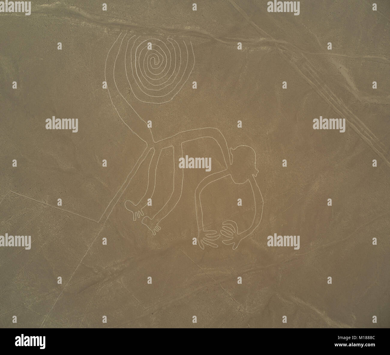 Mysterious Nazca lines on desert in Peru, South America Stock Photo - Alamy