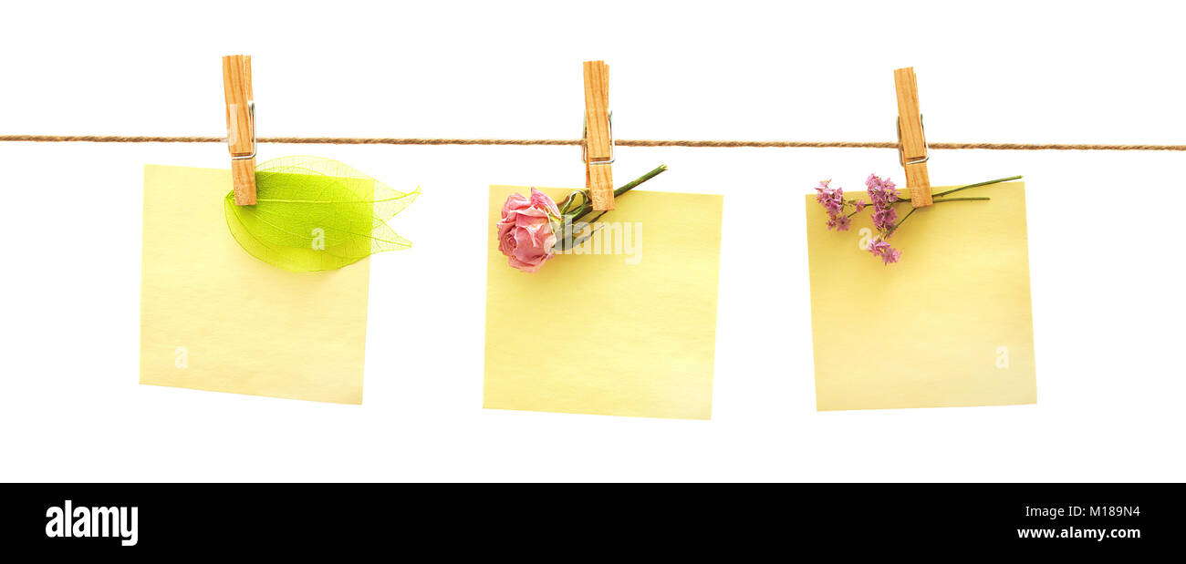papers and flowers with clothes peg on white background Stock Photo - Alamy