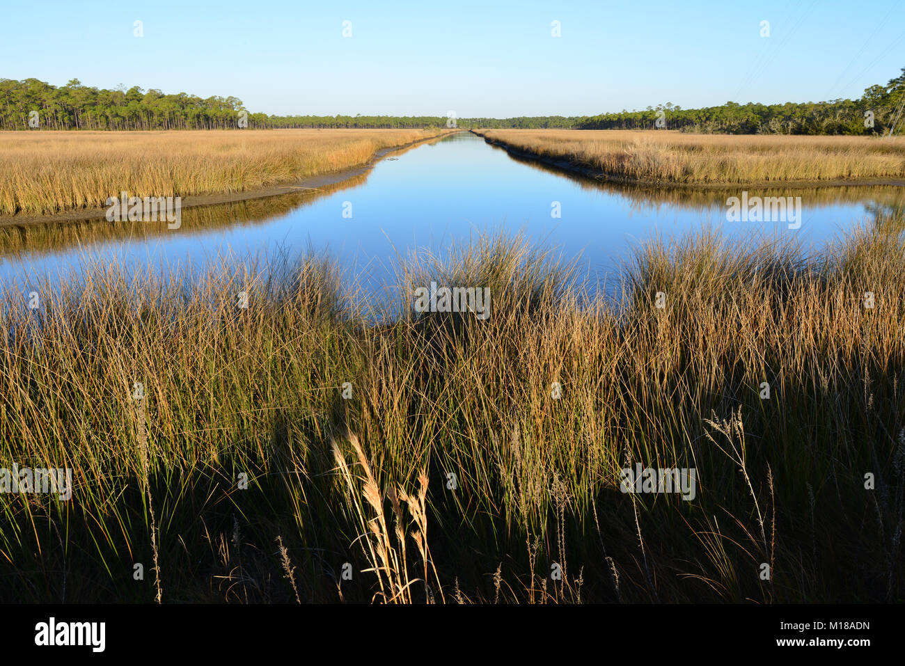 Alabama bayou hi-res stock photography and images - Alamy