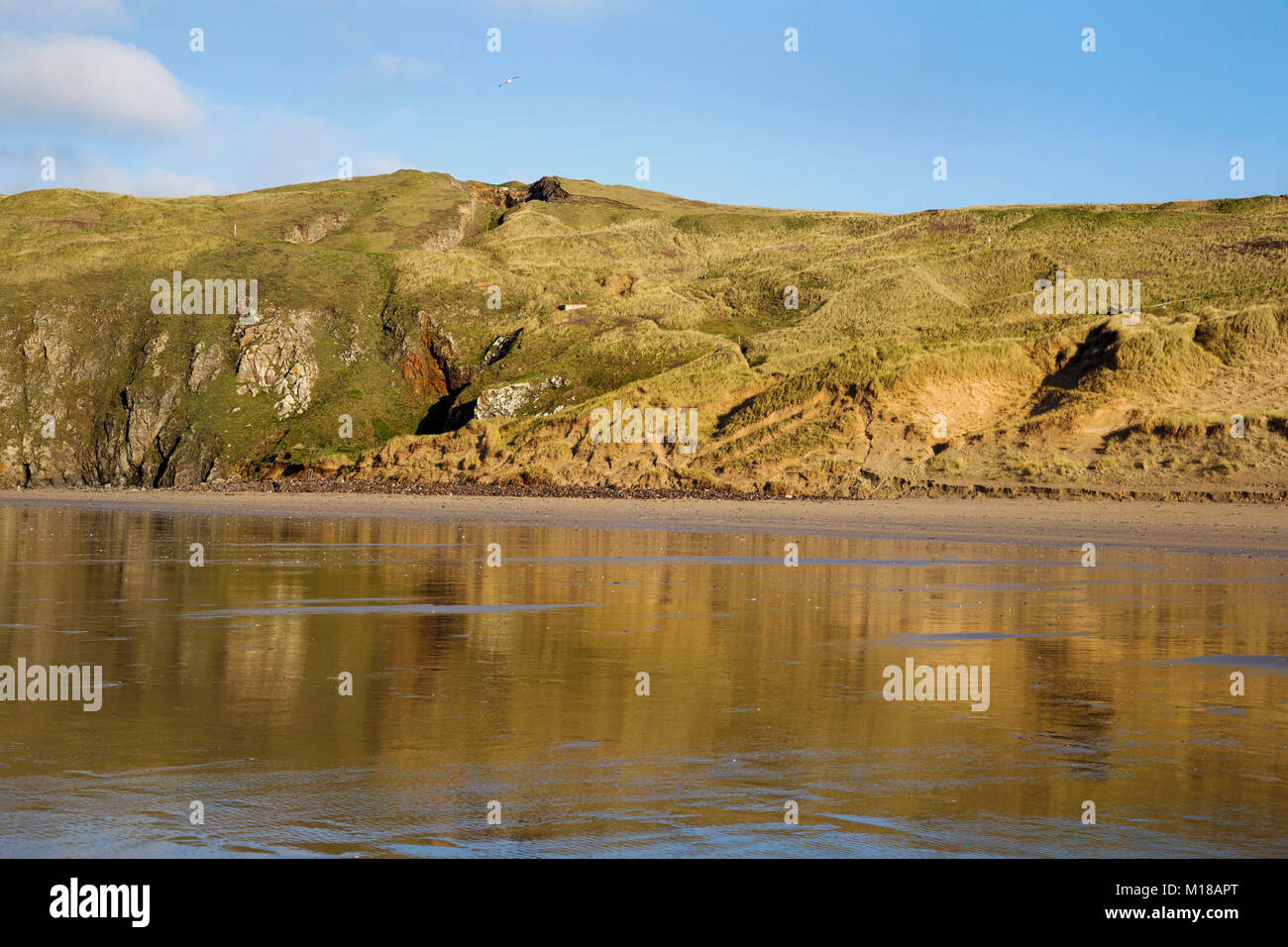 Beach scene at Newquay Cornwall Stock Photo - Alamy