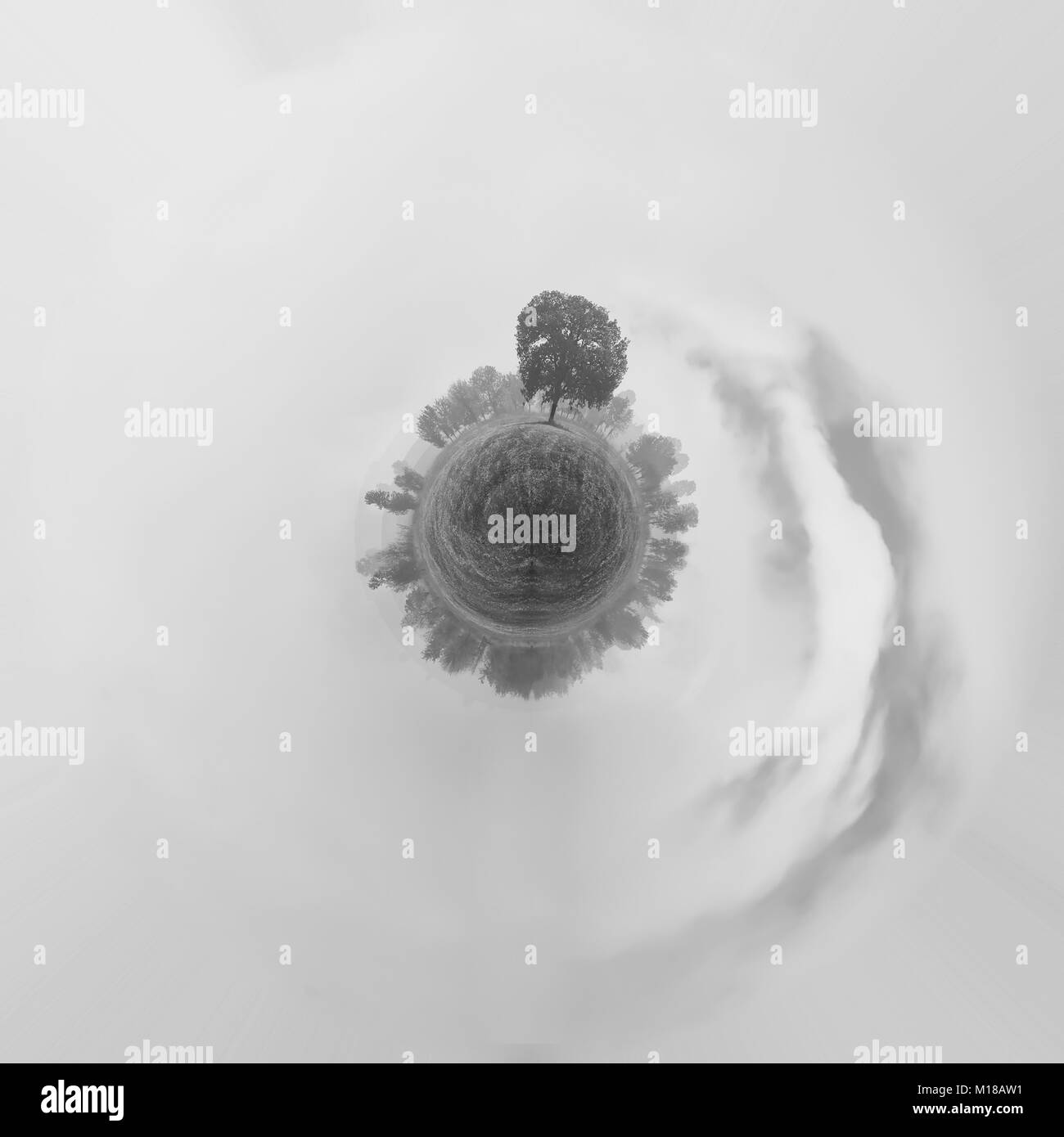 Landscape isolated tree little Black and White Stock Photos & Images ...