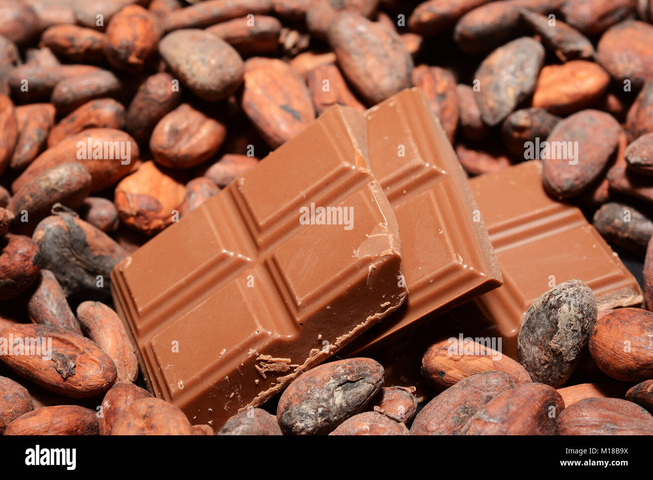 Chocolate and cocoa Stock Photo - Alamy