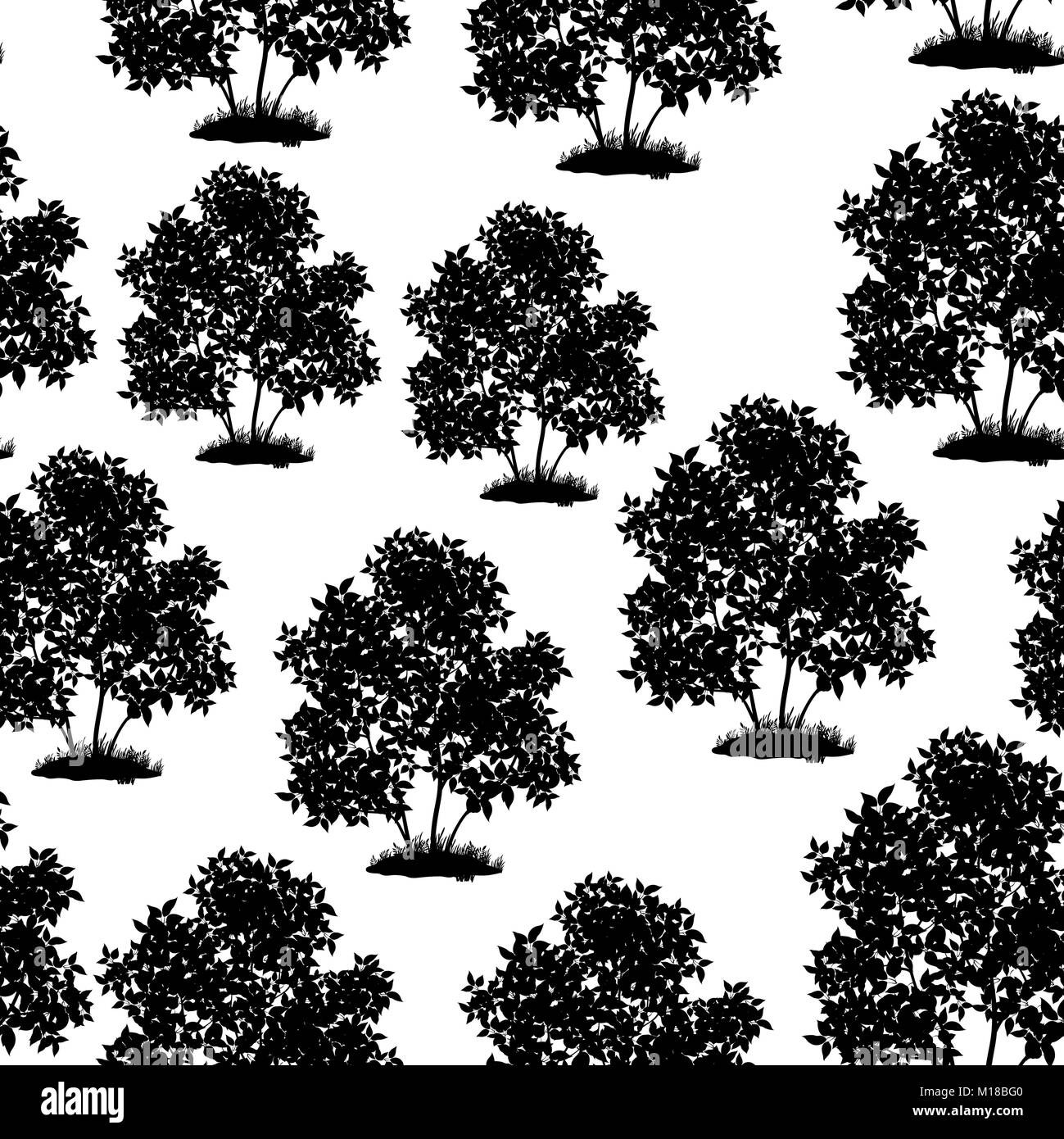 Lilac foliage Black and White Stock Photos & Images - Alamy