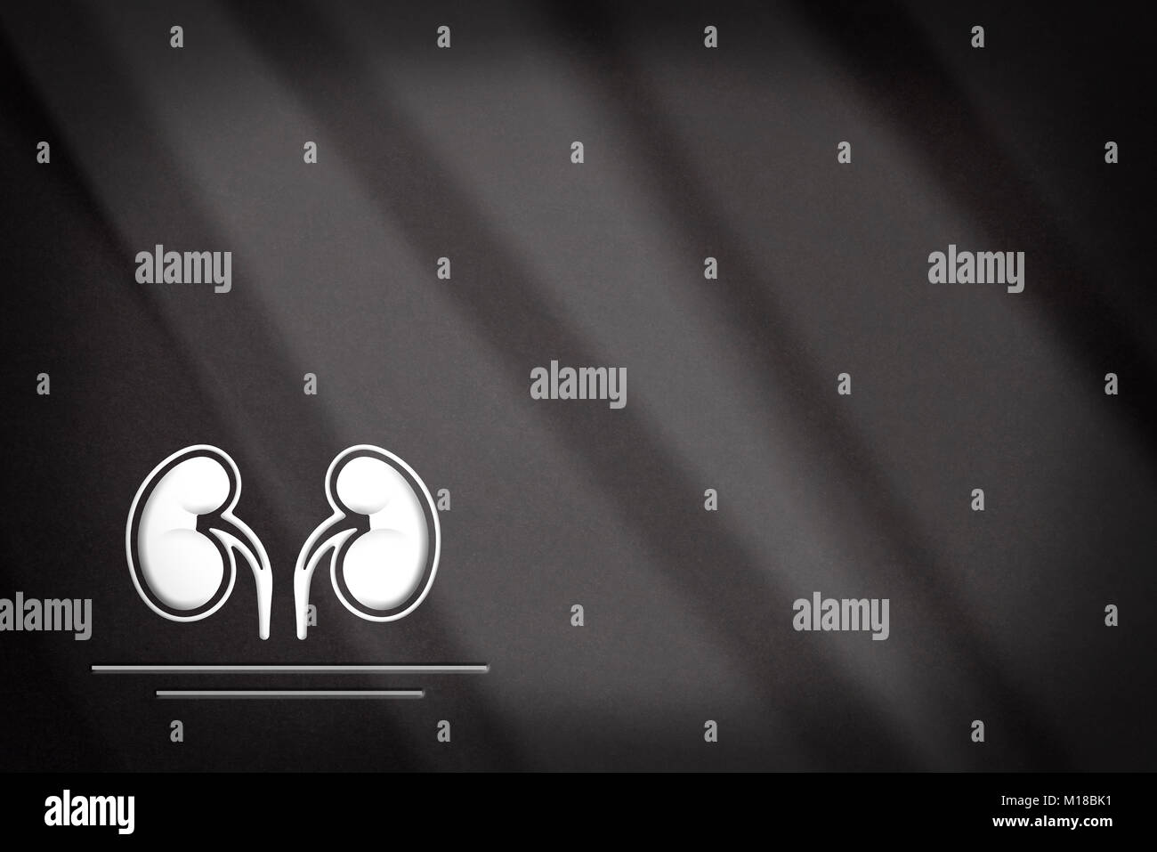 Card or medical background on the kidney with two kidneys and gray ...