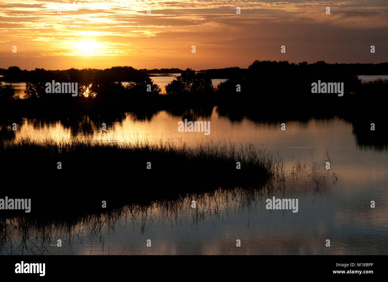 Red marsh hi-res stock photography and images - Alamy
