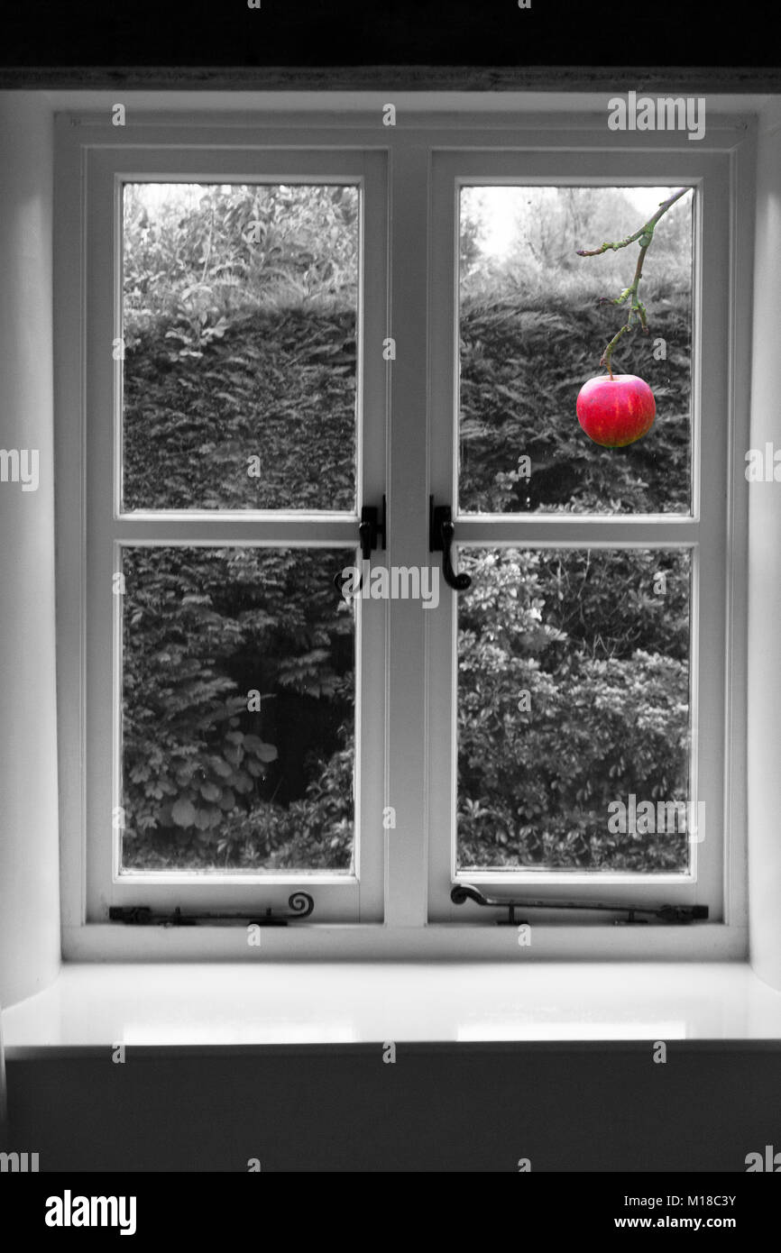 Glass window apple hi-res stock photography and images - Alamy