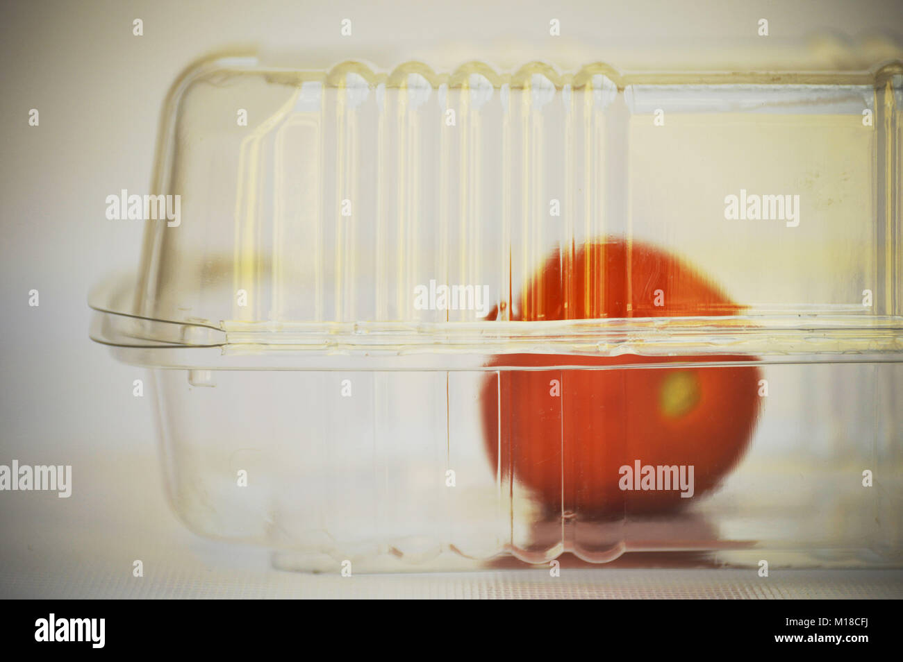 solitary tomato, inside transparent plastic box Stock Photo - Alamy
