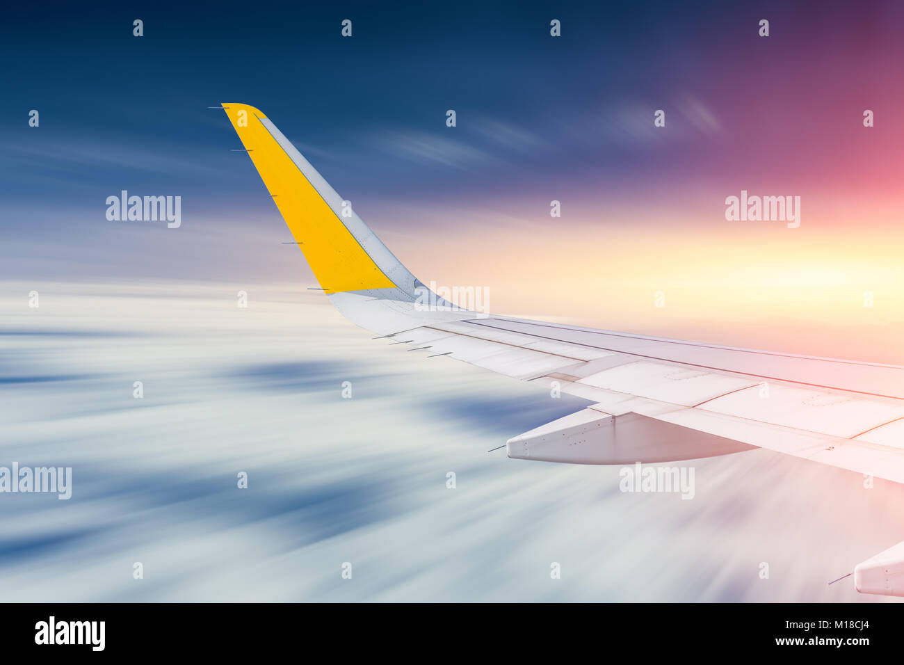 Fast wing speed hi-res stock photography and images - Alamy