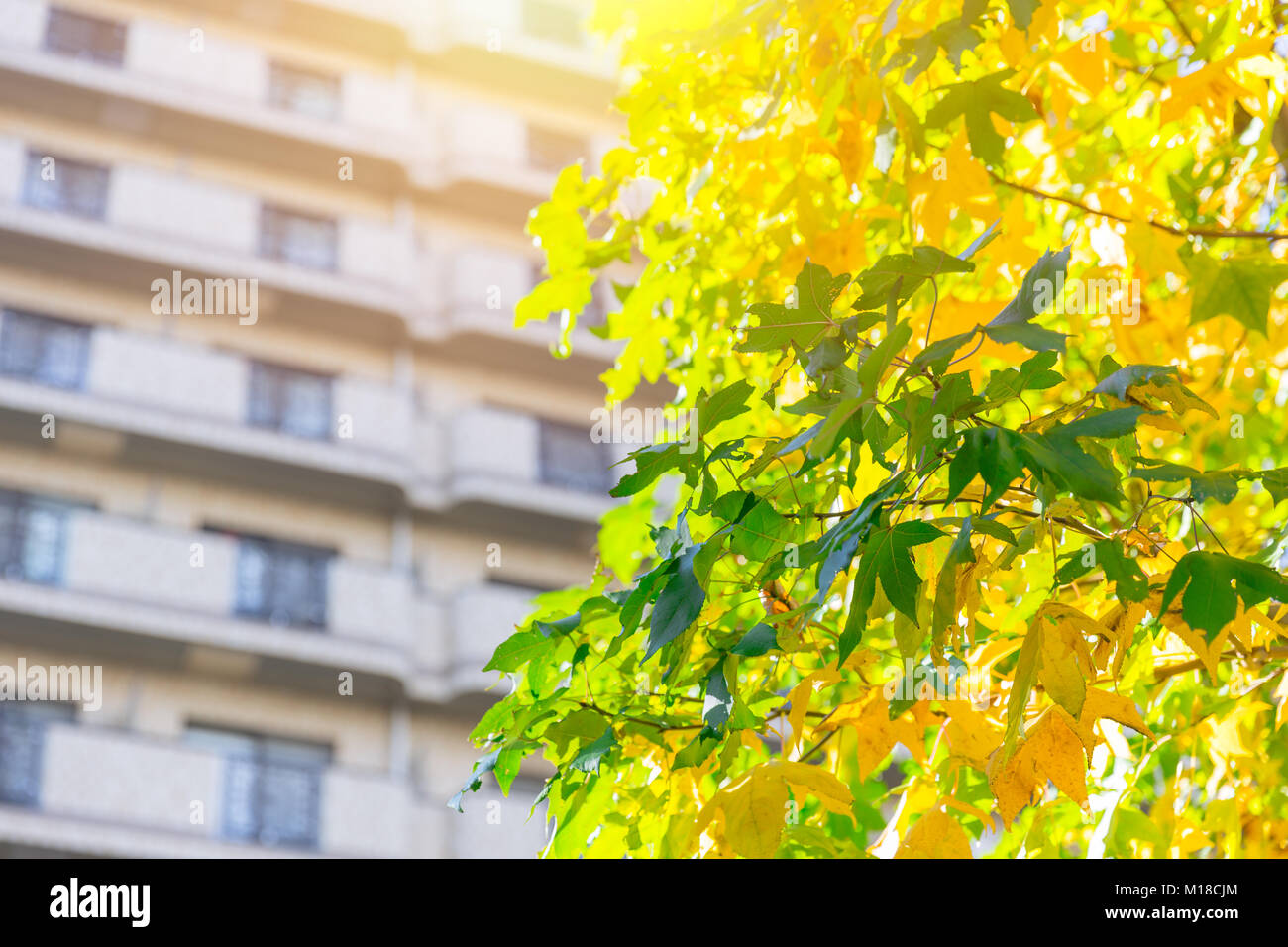 green residence eco community building good environment concept Stock ...