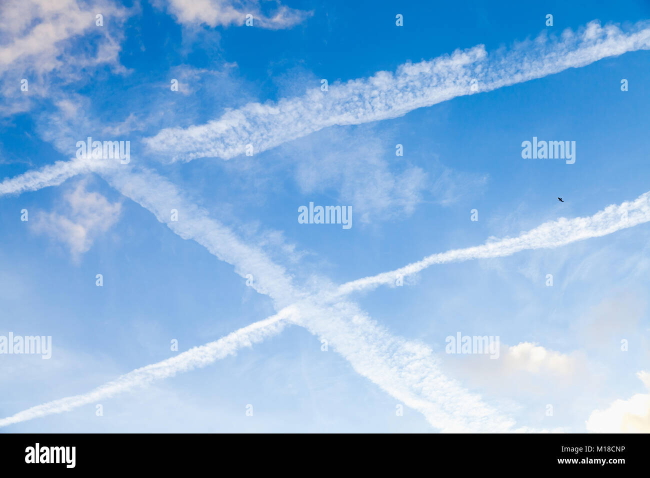 Blue sky with clouds and jet plane trails, background photo texture ...