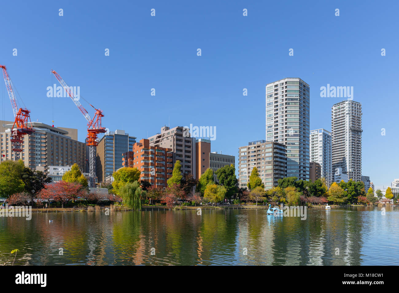lake park in tokyo cityscape summer day blue sky Stock Photo - Alamy