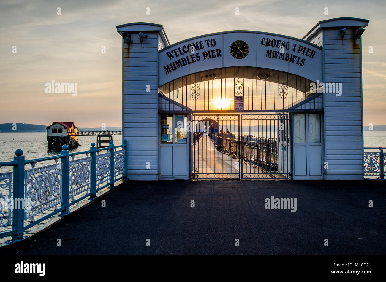 On beach single rose hi-res stock photography and images - Alamy