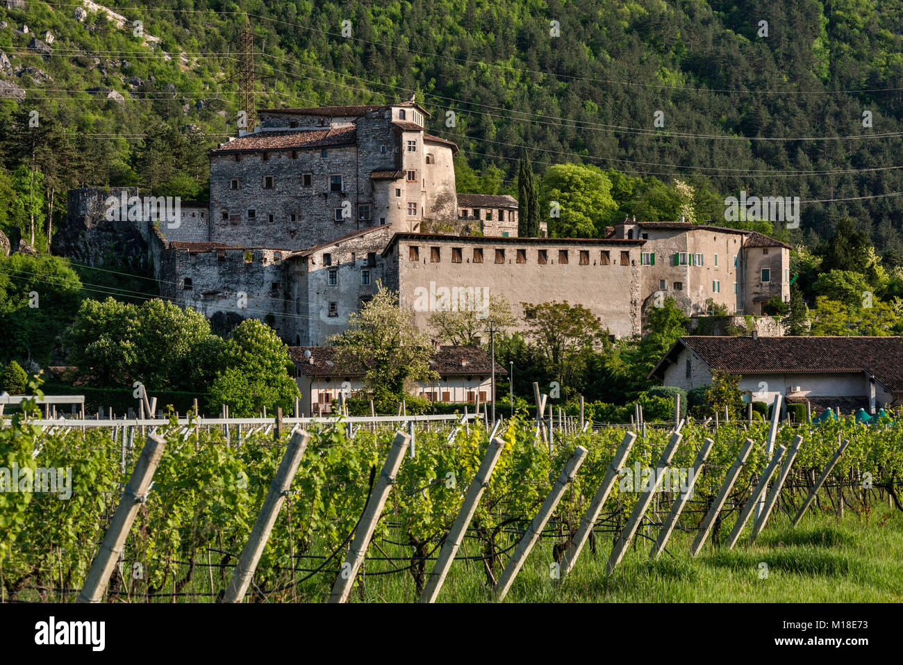 Castel Pietra (Stein am Kallian, Breitenstein), 13th century, medieval ...
