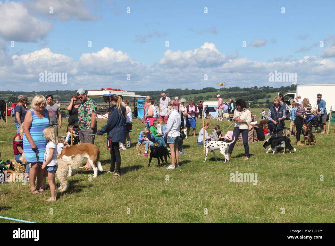 Dogs lined up hi-res stock photography and images - Alamy