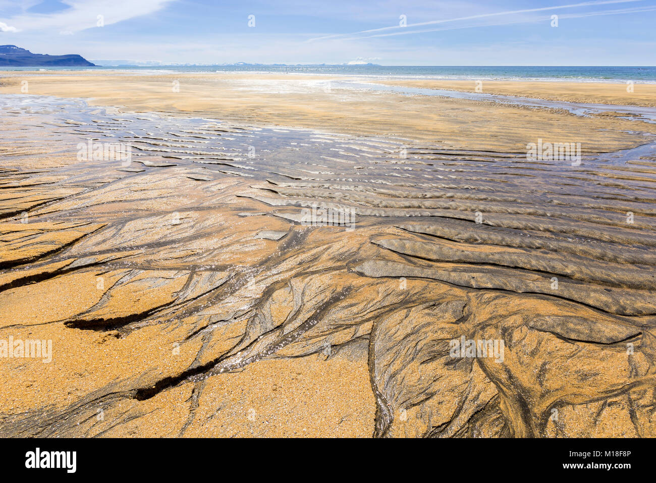 Sand structure with ripple at low tide,Rauðisandur Bay,Patreksfjörður ...