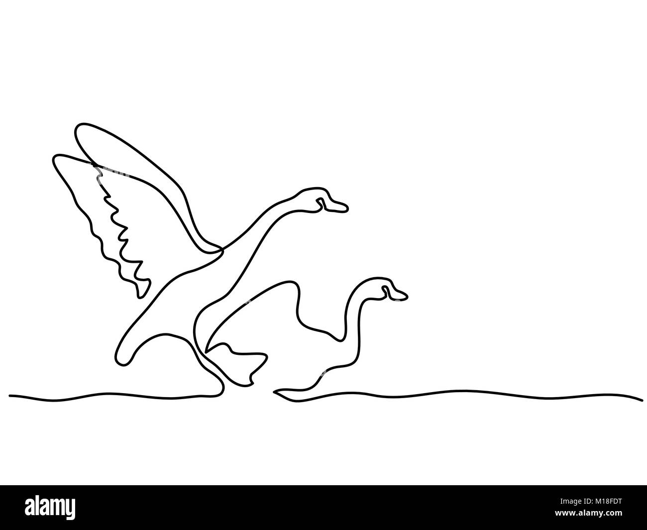 Swan Flying Sketch