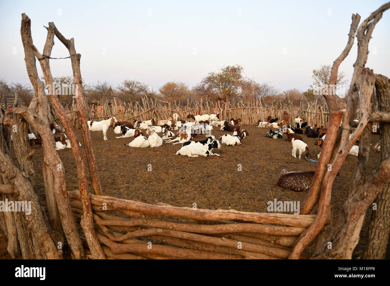 Kraal for goats hi-res stock photography and images - Alamy