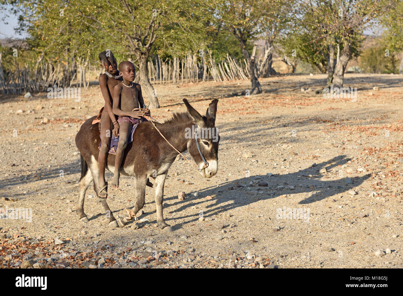 Child Riding Donkey Stock Photos & Child Riding Donkey Stock Images - Alamy