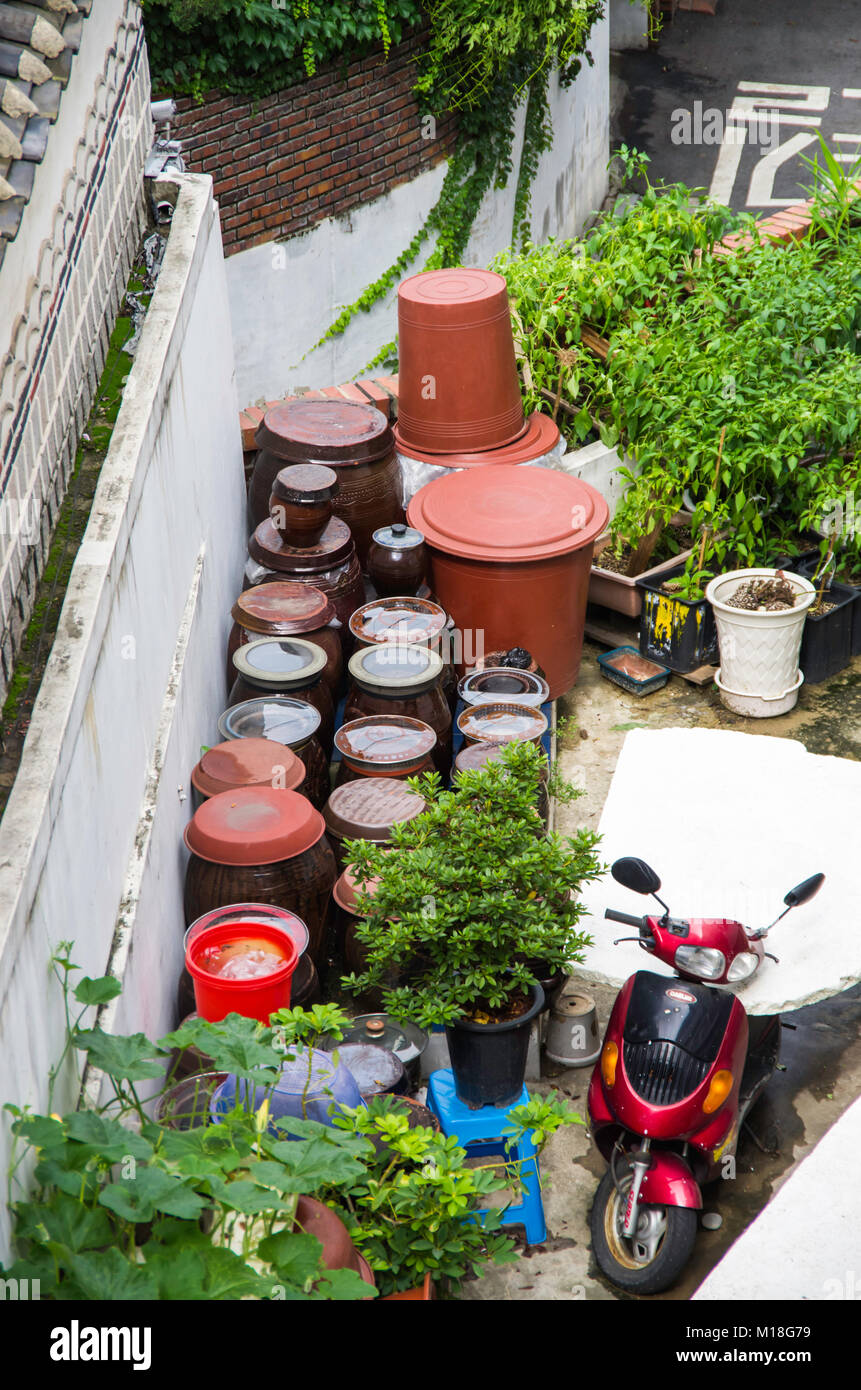 General view of korean pots keeping kimchi and another traditional ...