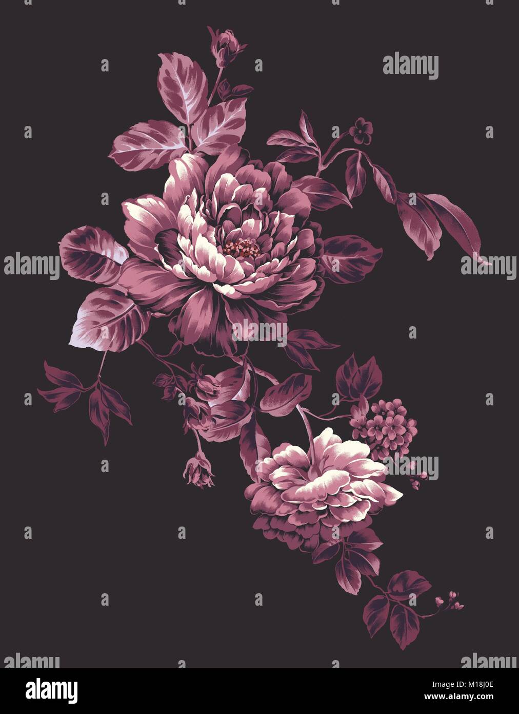 vector illustration pattern art drawing flower leaves floral drawing ...