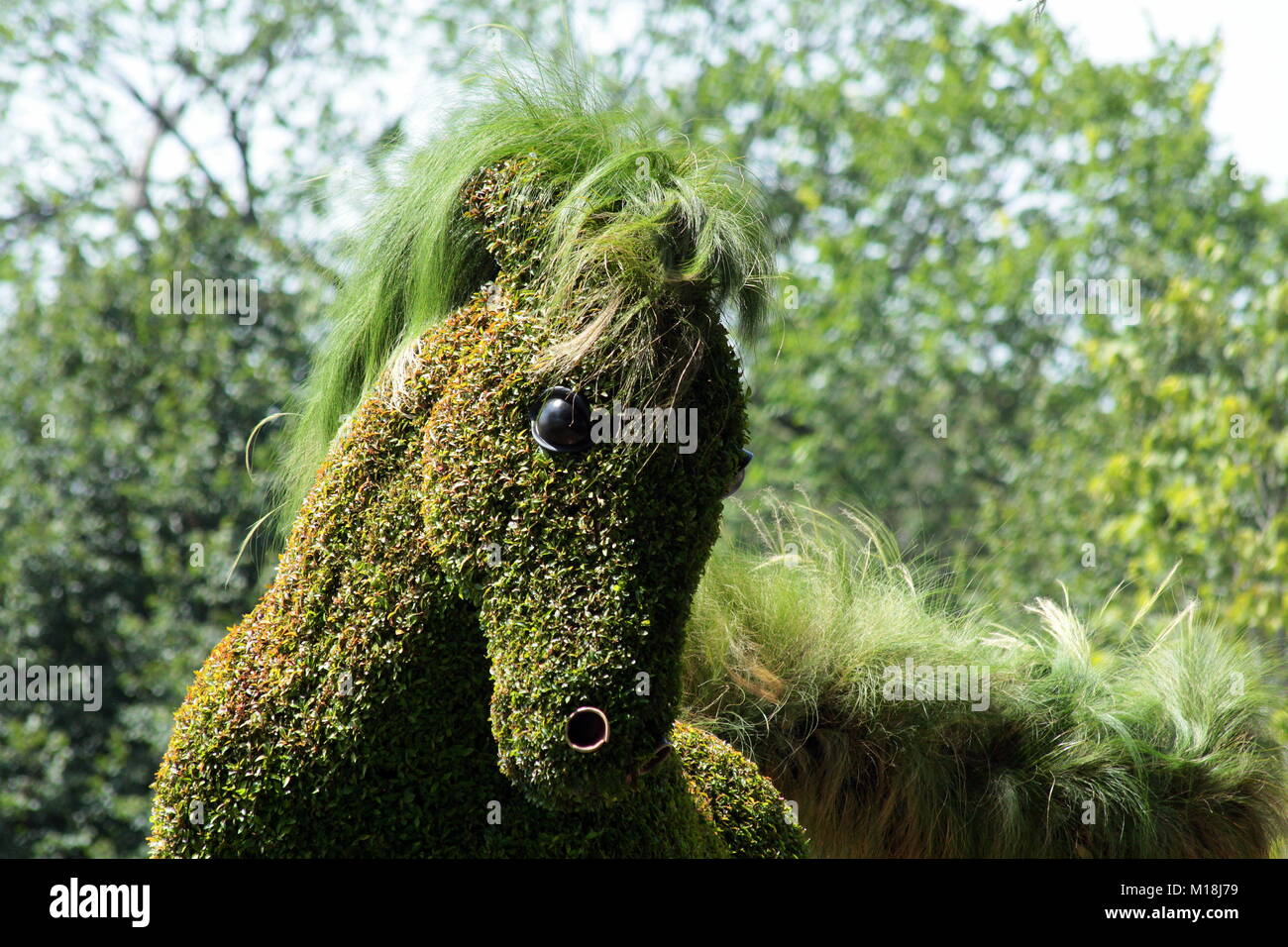 Canada topiary hi-res stock photography and images - Alamy