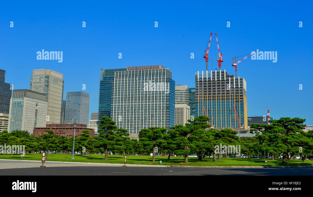 Tokyo, Japan - Sep 29, 2017. Office buildings with pine garden in Tokyo ...