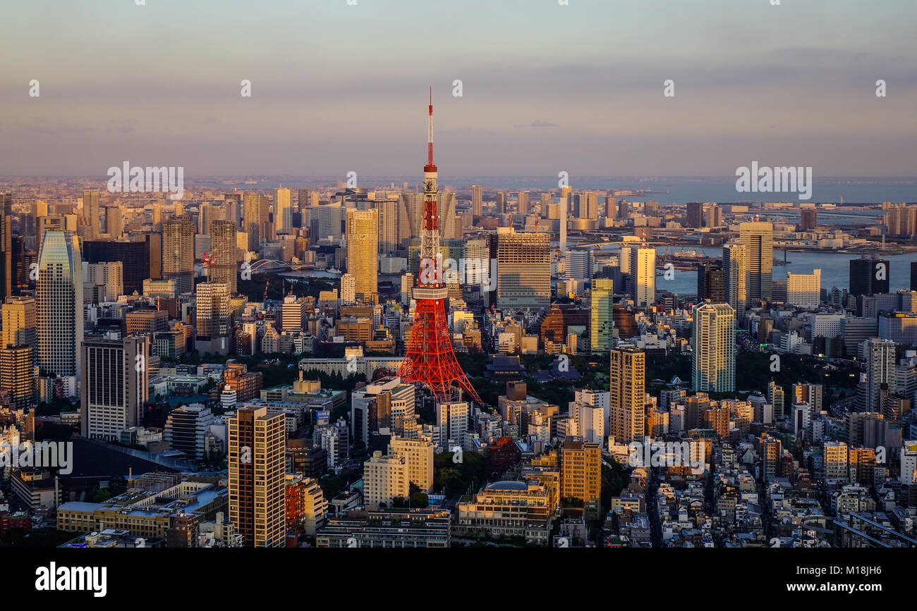 Tokyo, Japan - Sep 29, 2017. Aerial view of Tokyo Tower at sunset ...