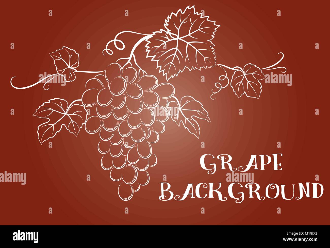 Vintage background with grapevine label Stock Vector Images - Alamy