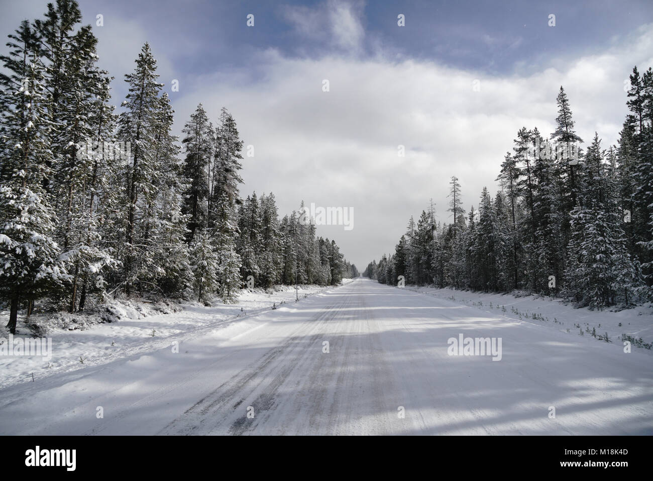 A fresh coating of snow has appeared on a road cut through the ...