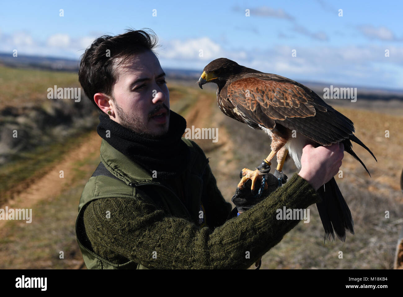 Almazán, Spain. 27th Jan, 2018. Michael Pico, one of the last falconers ...
