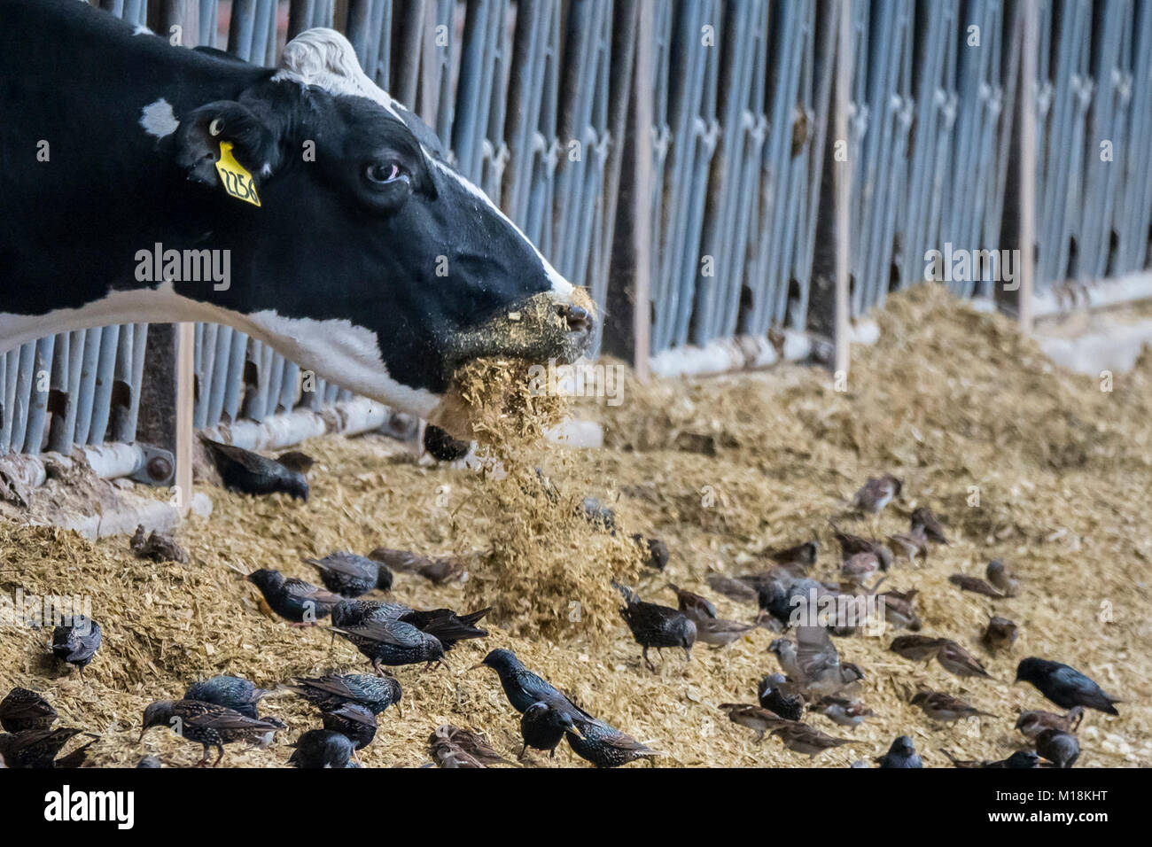 USDA secretary Perdue visits farms and farmers Stock Photo - Alamy