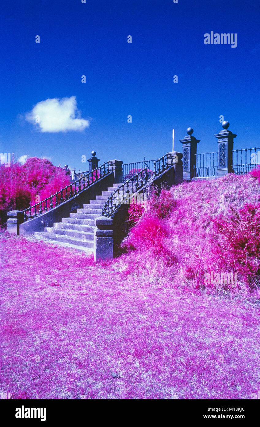 Kodak ektachrome infrared hi-res stock photography and images - Alamy