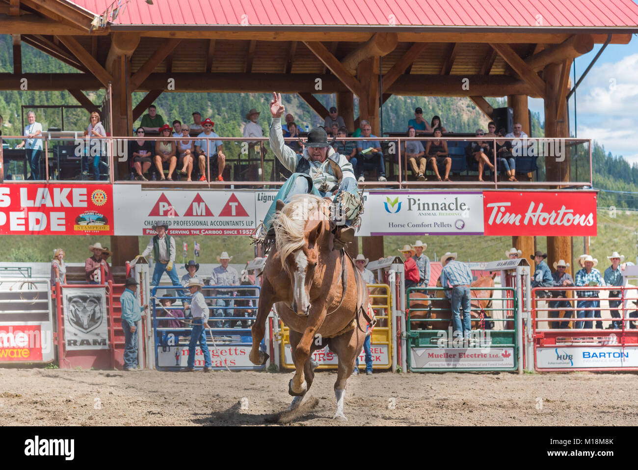 Horse rearing cowboy hi-res stock photography and images - Alamy