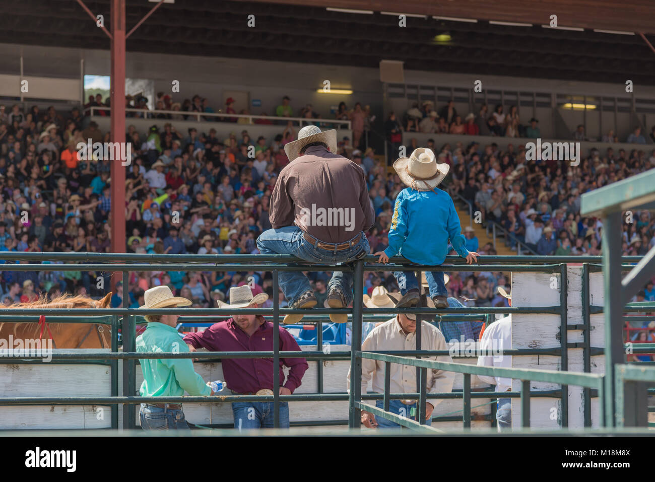 Professional rodeo cowboys association hi-res stock photography and ...