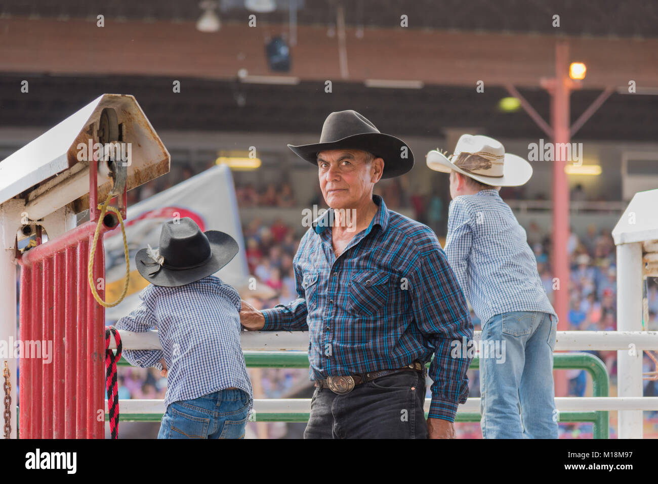 Man and two boys in cowboy hats stand behind the chutes watching a ...