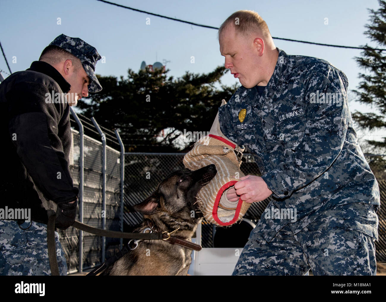 NAVAL AIR FACILITY ATSUGI, Japan (Jan. 26, 2018) Masters-at-Arms 2nd ...