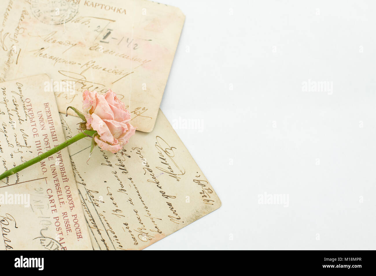 Vintage Background with Rose Flower and old Letter Stock Photo - Alamy