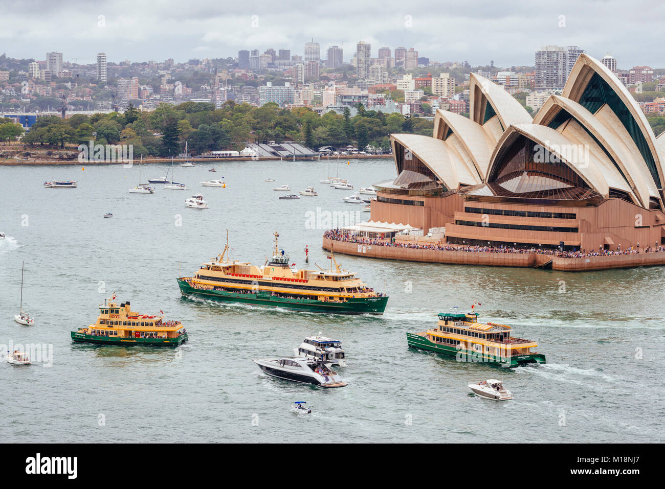 Annual Australia Day Ferry Boat Race - Ferrython, Sydney Harbour ...