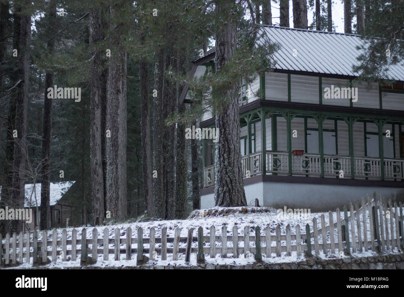 Wooden forest house covered in snow, shallow focus Stock Photo - Alamy