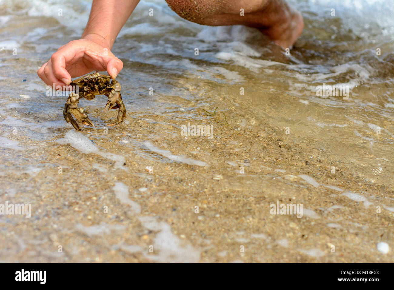 Crab Man Beach High Resolution Stock Photography and Images - Alamy