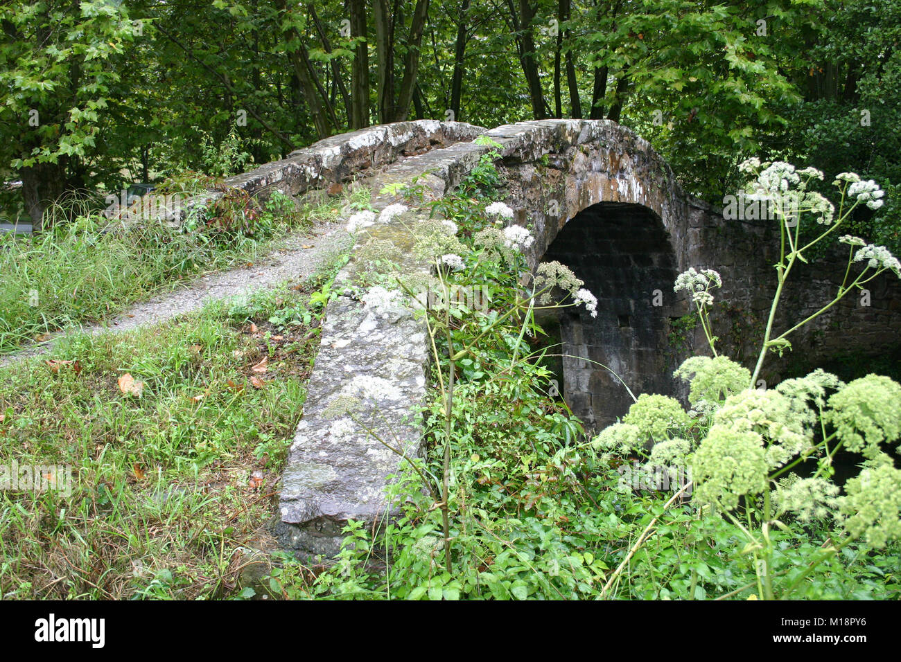 Old stone bridge over creek hi-res stock photography and images - Alamy