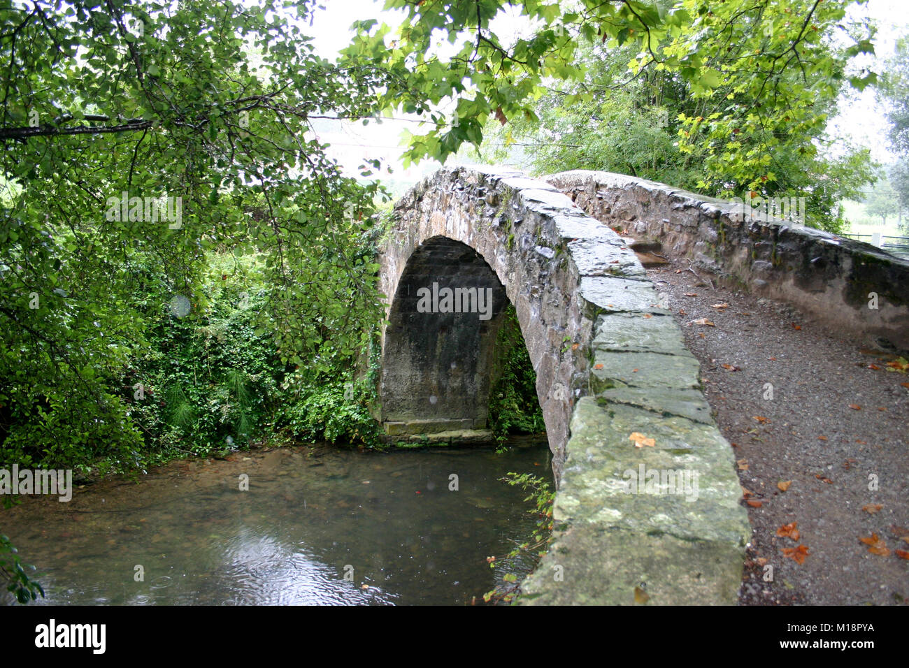 Old stone bridge over water in Pays Basque, France Stock Photo - Alamy
