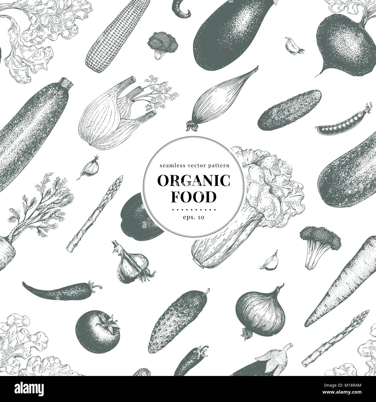 Vegetables hand drawn vector seamless pattern. Banner template. Retro ...