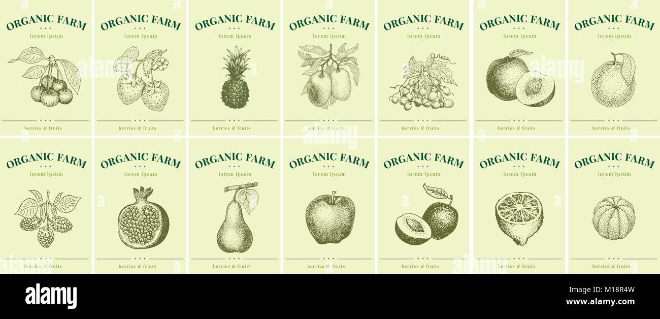 Labels with fruits and berries. Set templates price tags for shops and ...
