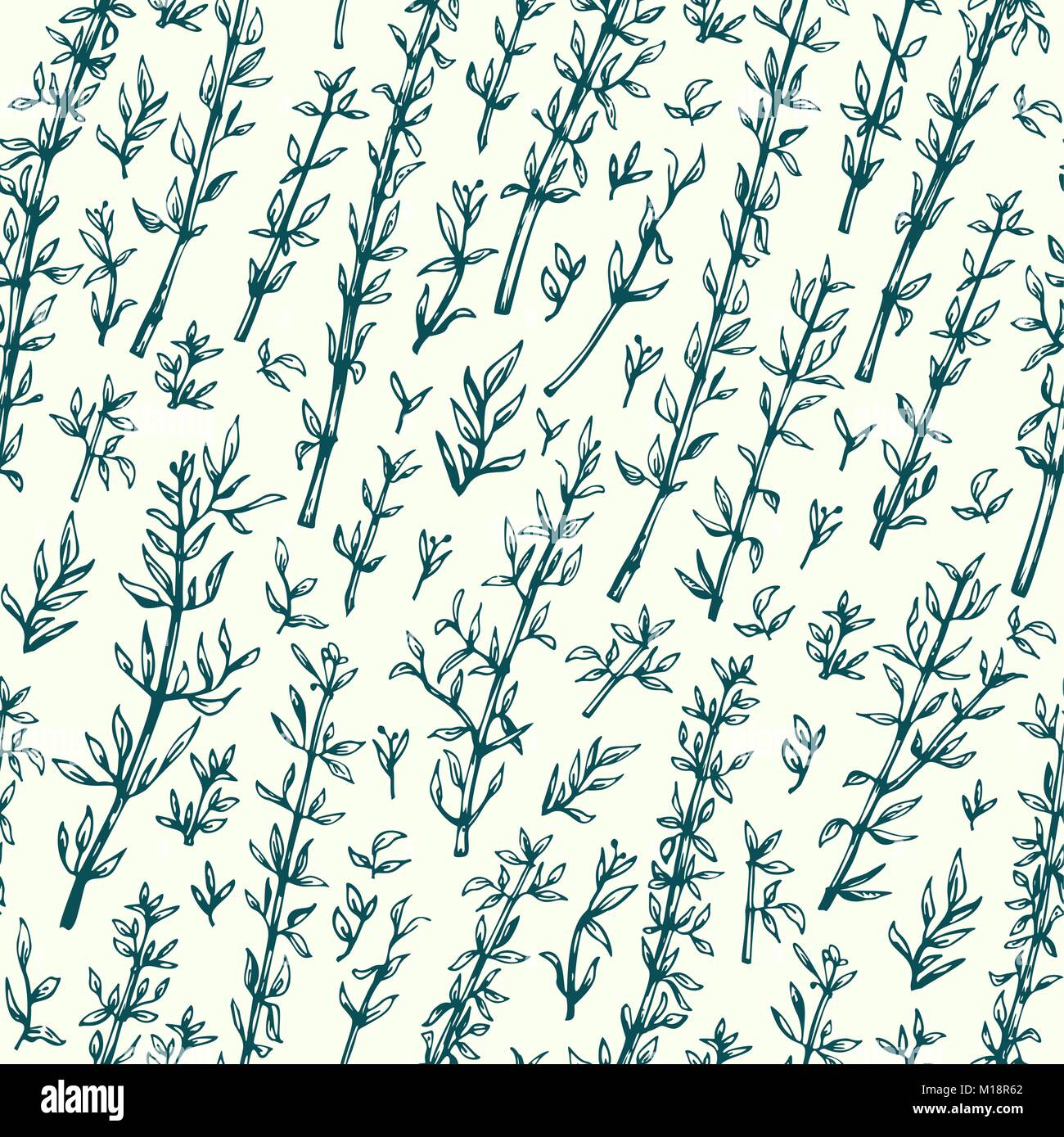 Thyme. Vector seamless pattern for design menu, packaging and recipes ...