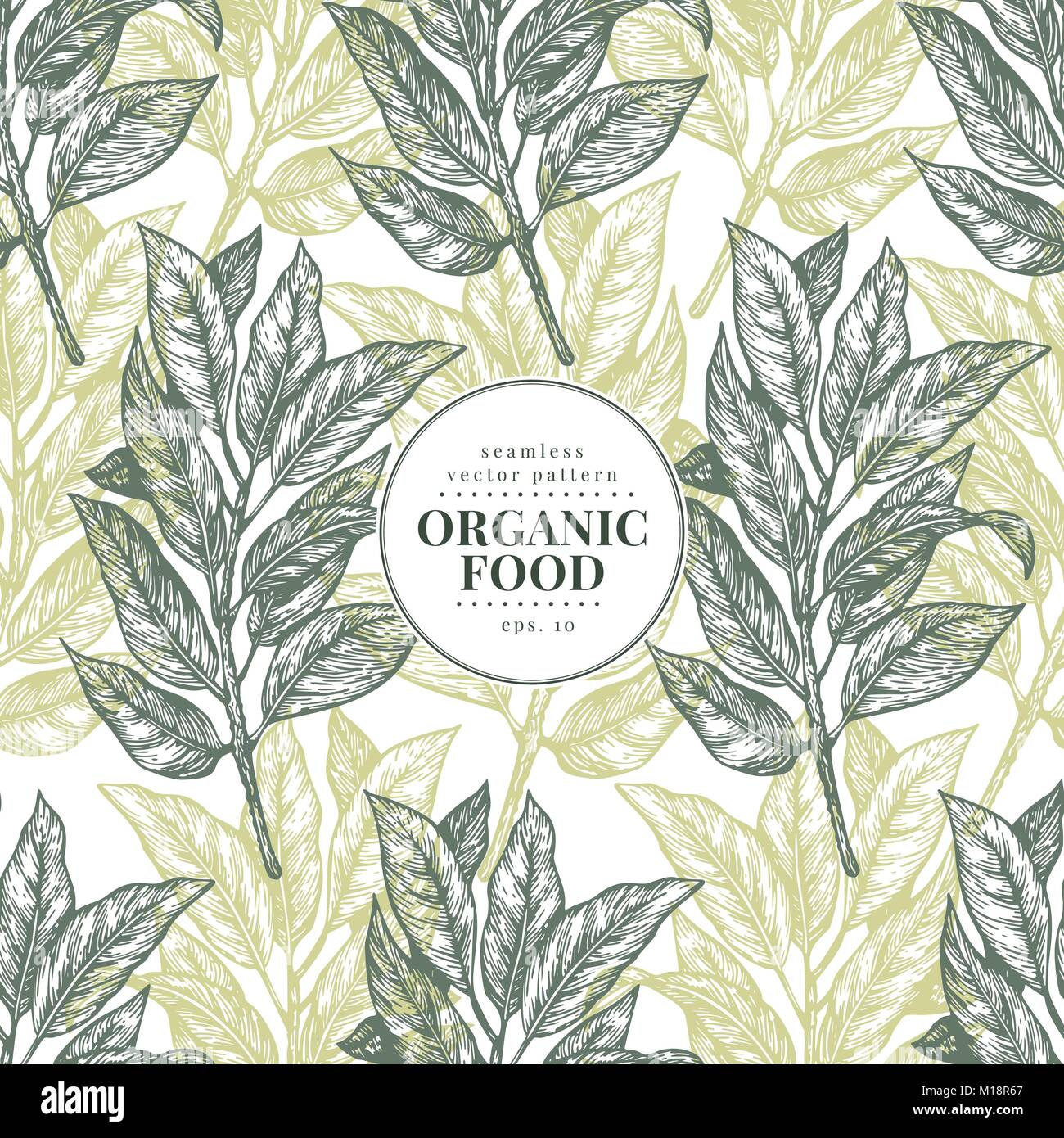 Bay leaves. Vector seamless pattern for design menu, packaging and ...