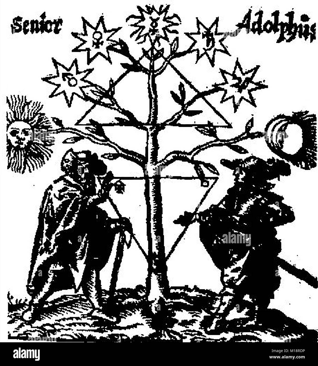 The alchemical tree hi-res stock photography and images - Alamy