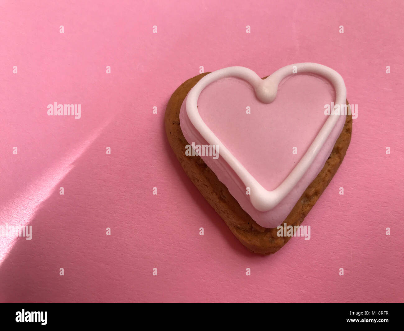 Heart shaped, iced gingerbread cookie on a pink background with copy ...