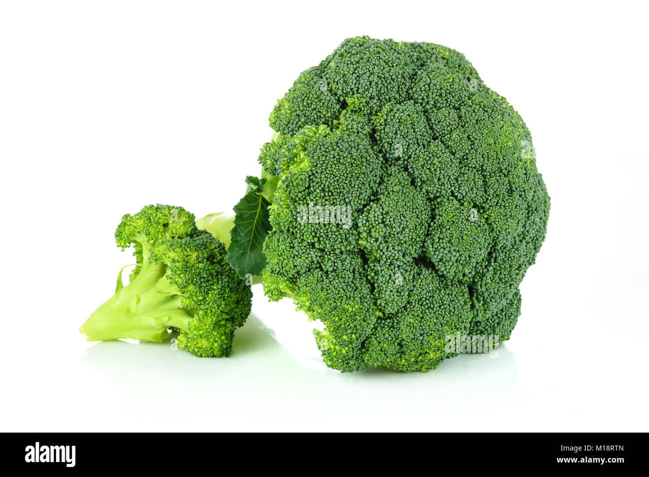 Fresh broccoli vegetable isolated on white background in close-up Stock ...